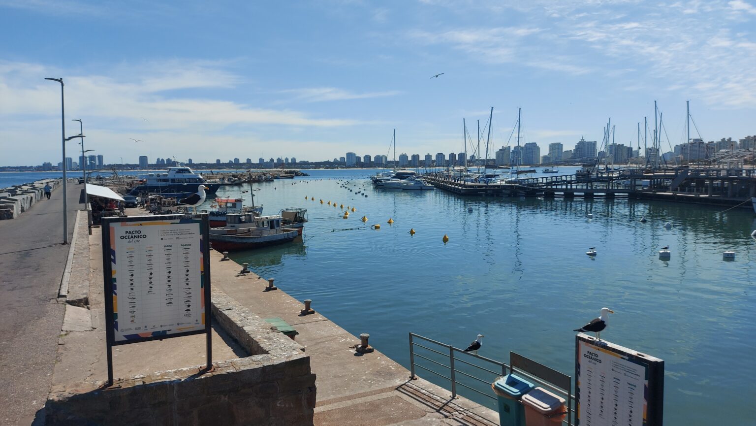 O que fazer em Punta del Este | Diário de uma Viajante
